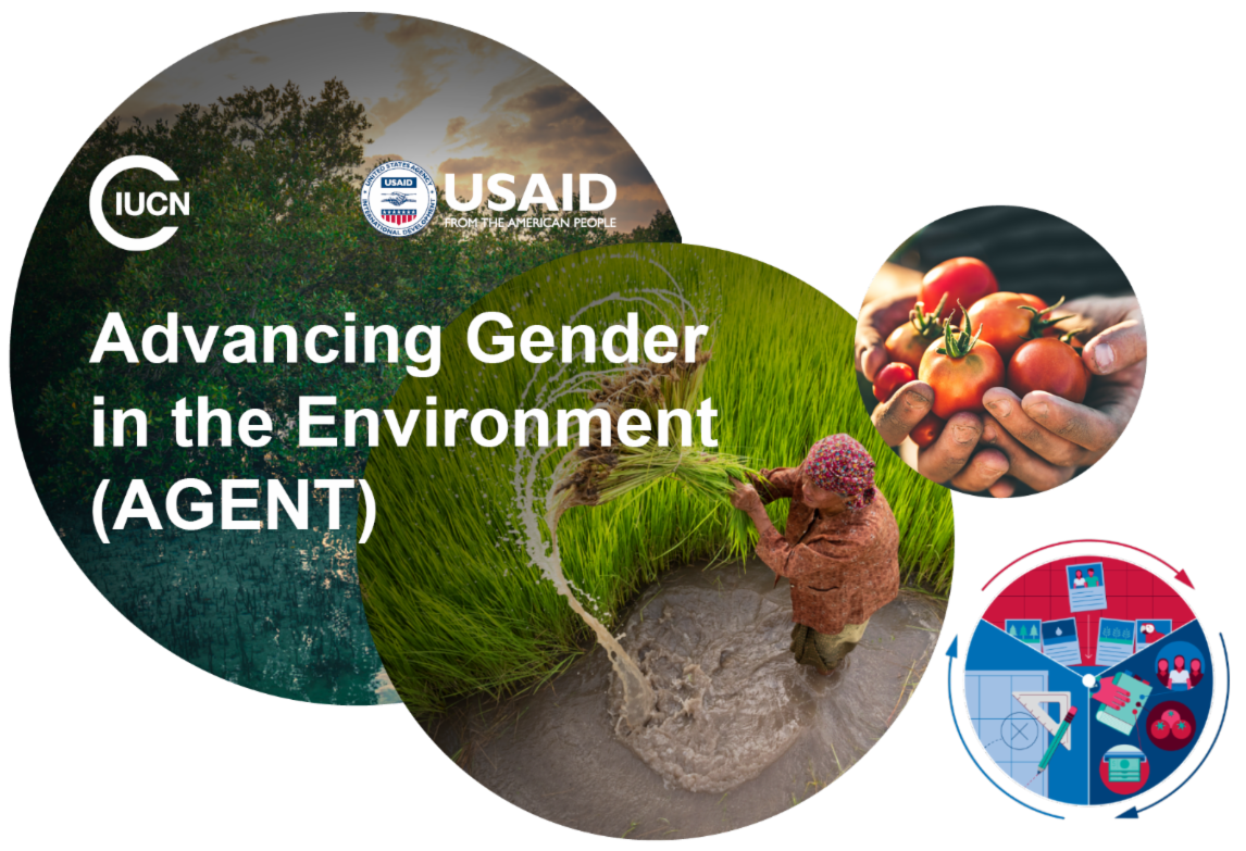 A Joint AGENT And GBV ENV Center Bulletin For Women s History Month A Joint AGENT And GBV ENV Center Bulletin For Women s History Month