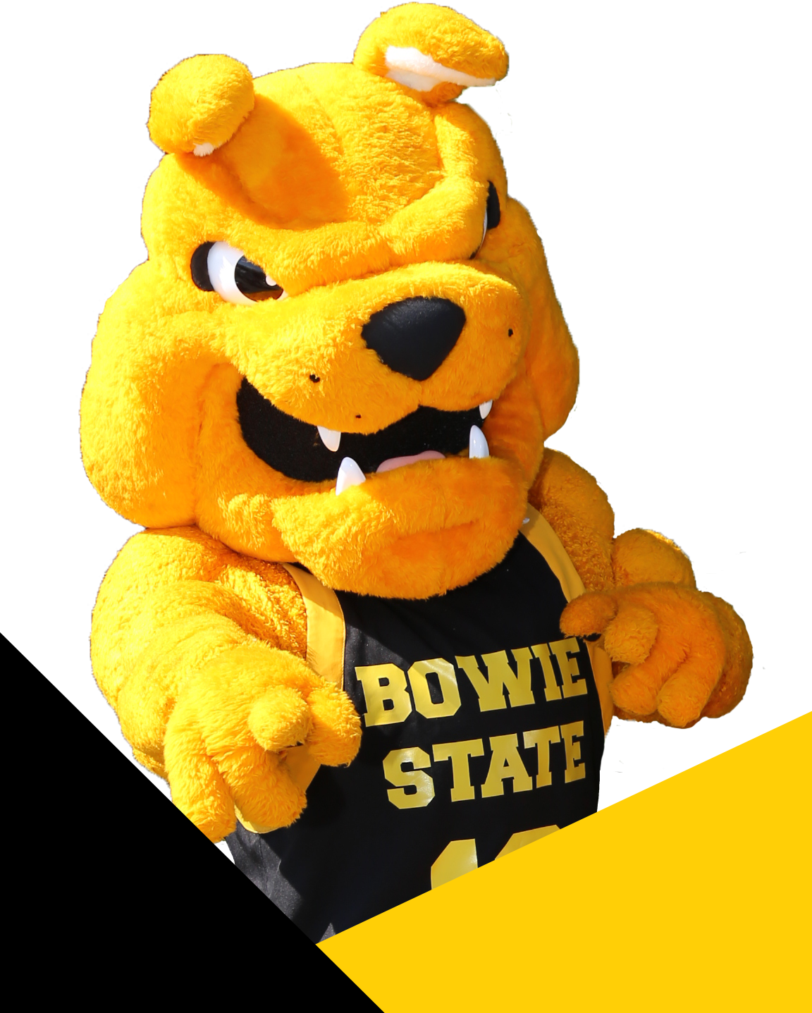 Are You BSU Ready?
