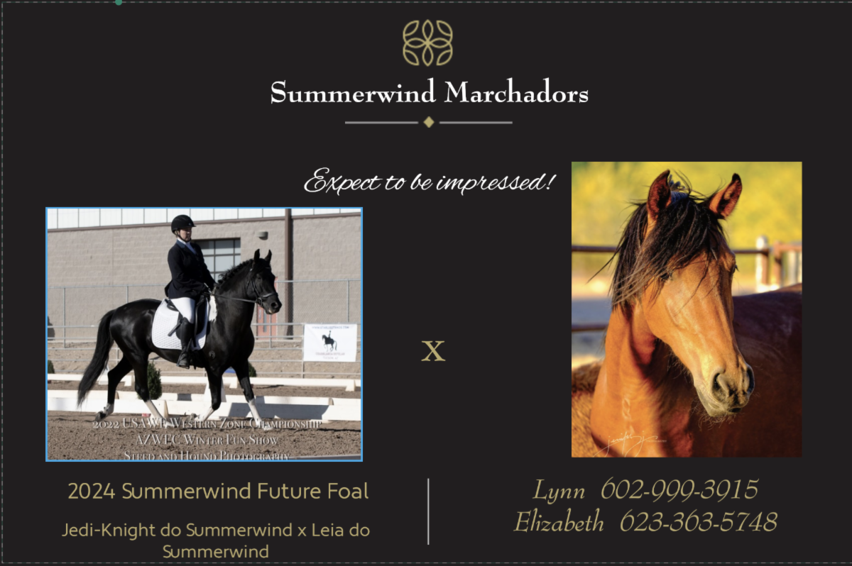 Marchadors on the Move!