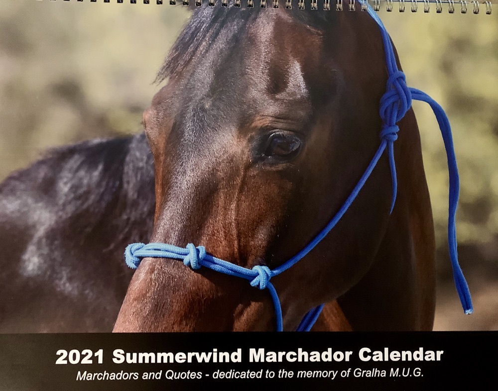 What's happening at Summerwind!