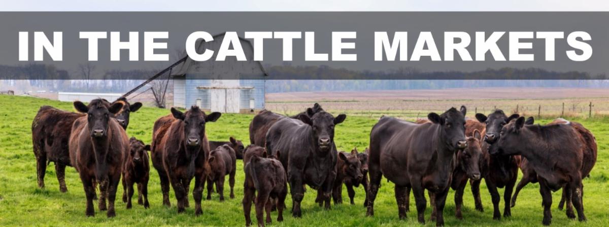 In The Cattle Markets