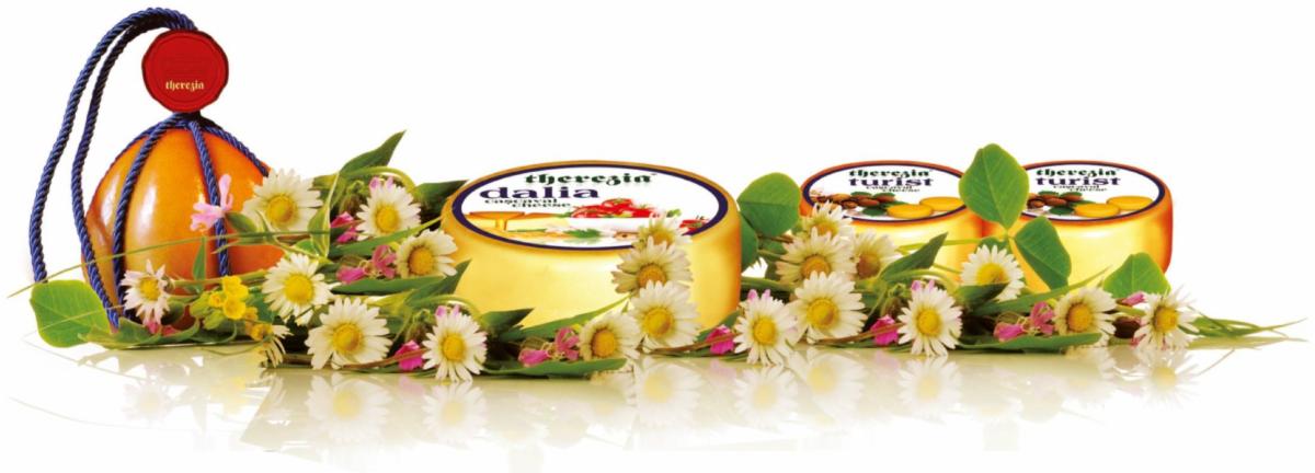 Semi Hard Cheese - Traditional Recipes