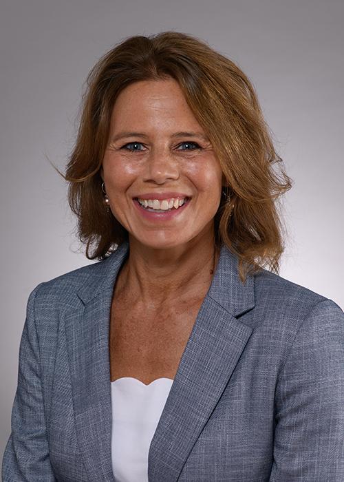 Invitation: Lunch & Learn: Mediation in and out of the Courts