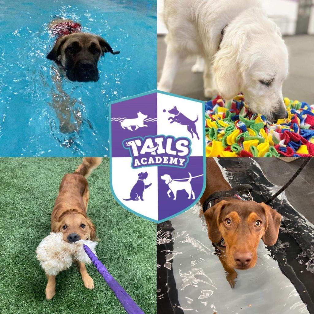 TAILS Academy Adventure Package