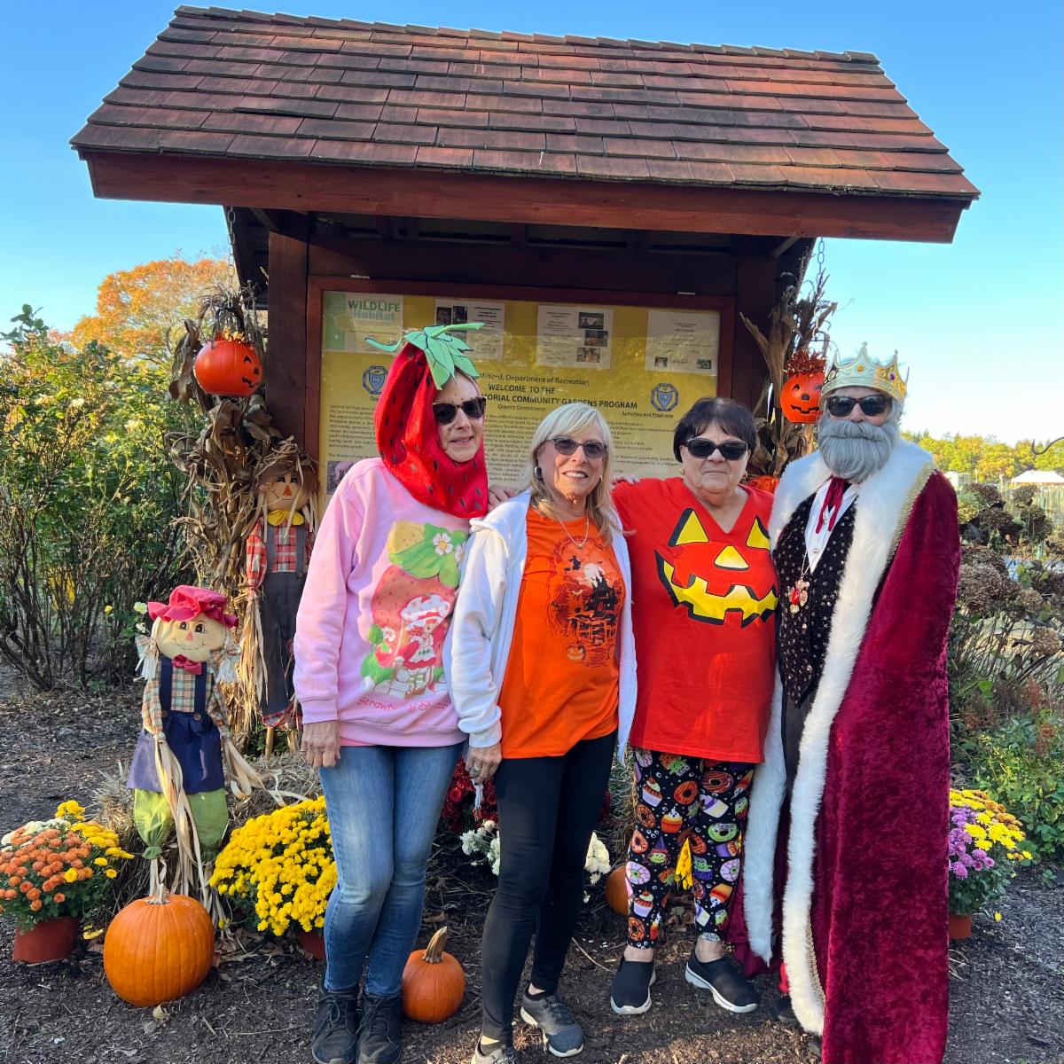 🍂 Fall into something new — adult pickleball, youth diving & more!