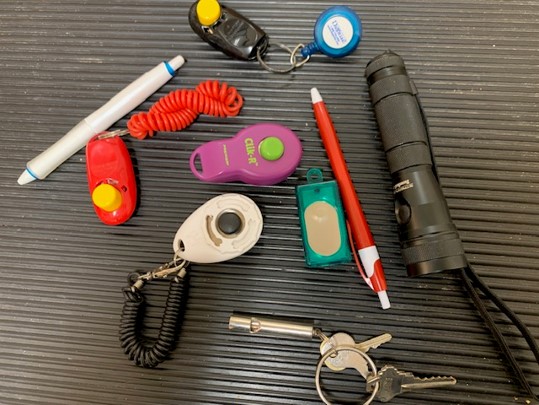 Learn about Marker Training