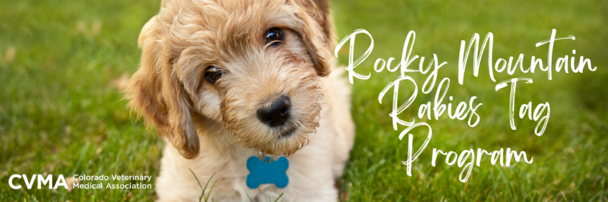 Order your 2025 Rabies Tags now!