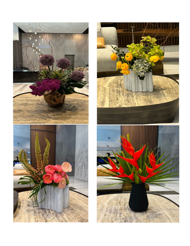 Marquis Condo - Monthly Newsletter