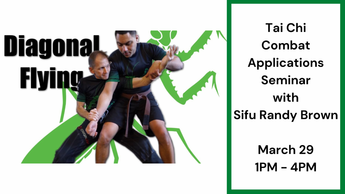 Saturday: Powering Hui Yin Pelvic Mobility Online Workshop