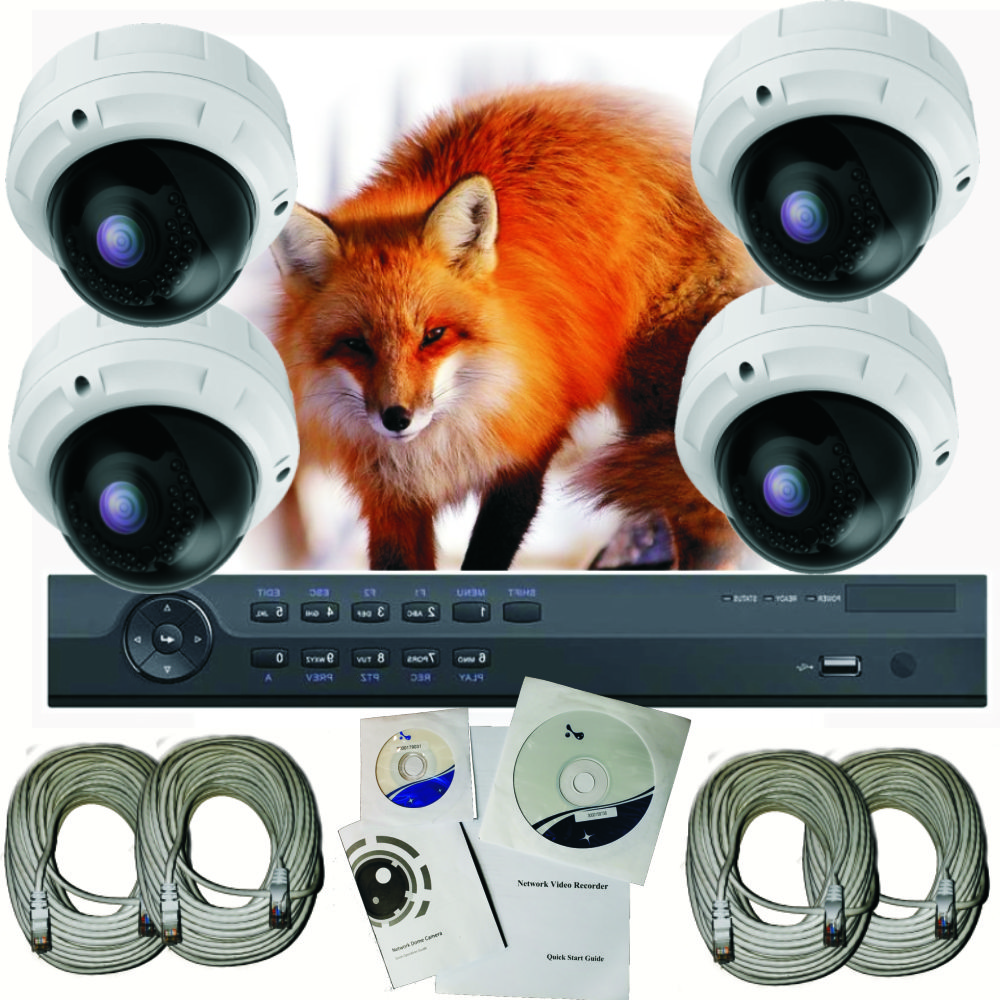 Easy as 1-2-3: RECORDER + CAMERA(s) + CABLE = SECURITY SYSTEM