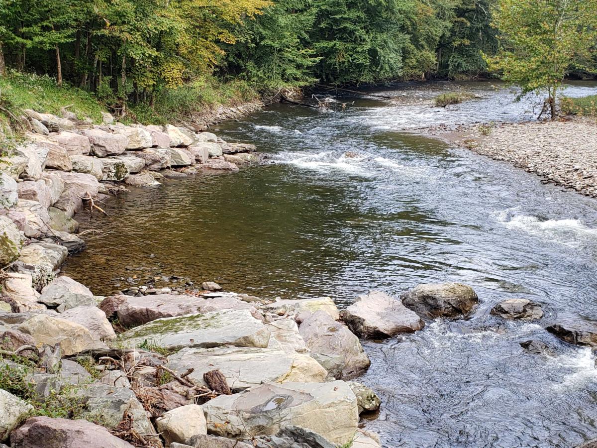 Photo Contest, Meet & Greets, Stream Improvements, and more!