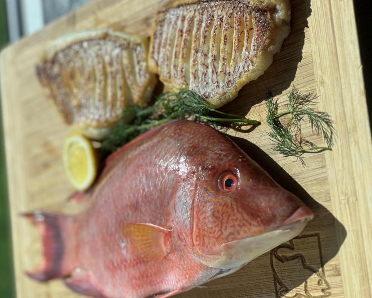 Fantastic Friday Specials!