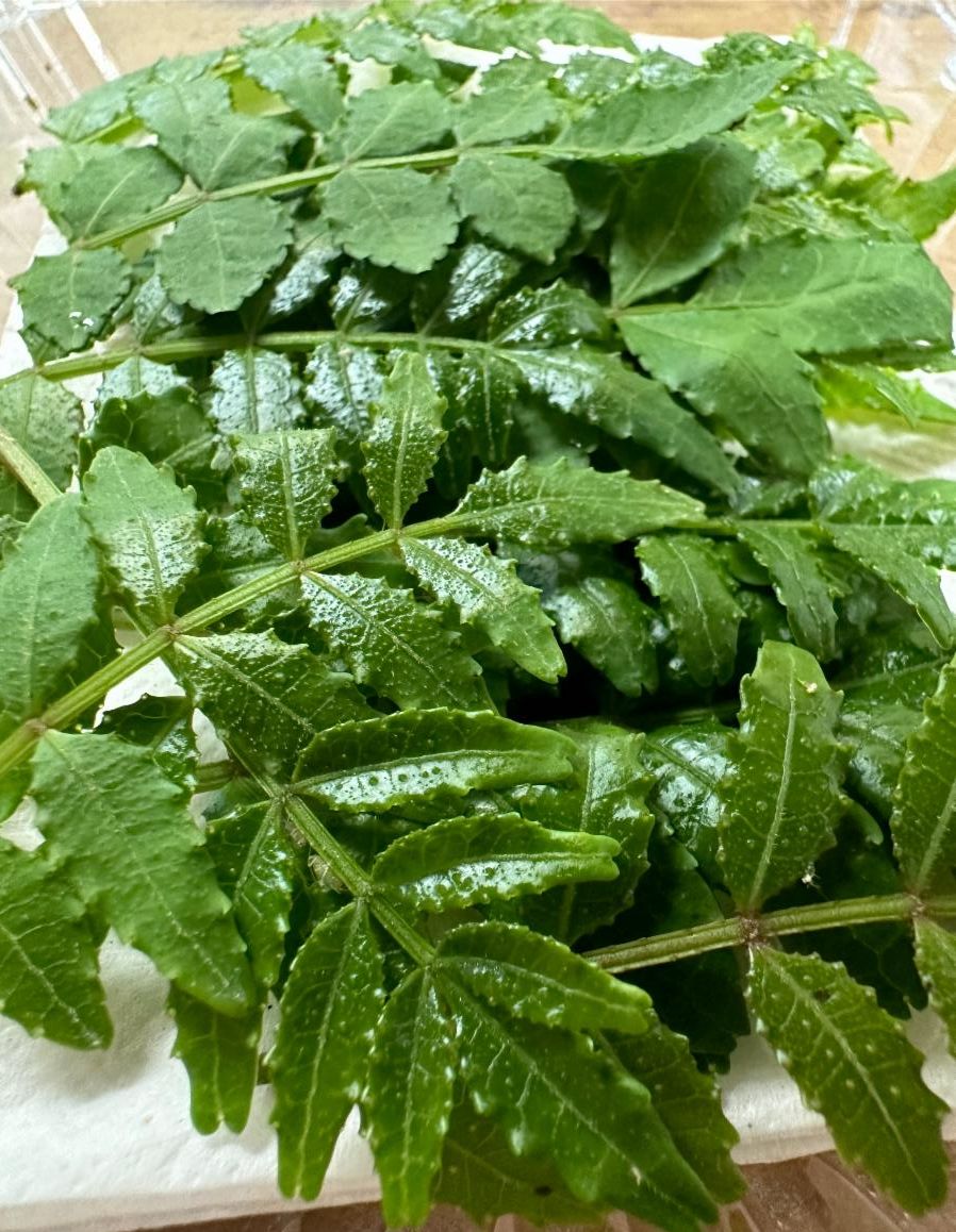 Terrific Tuesday Specials!