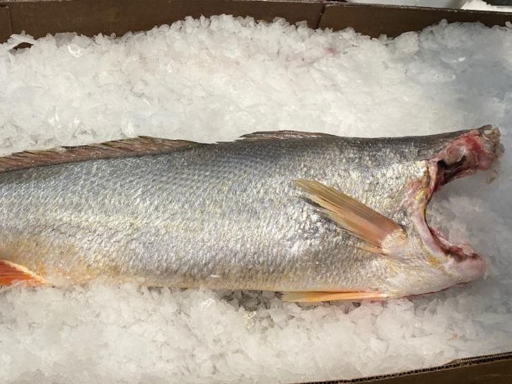 Saturday's Best Specials