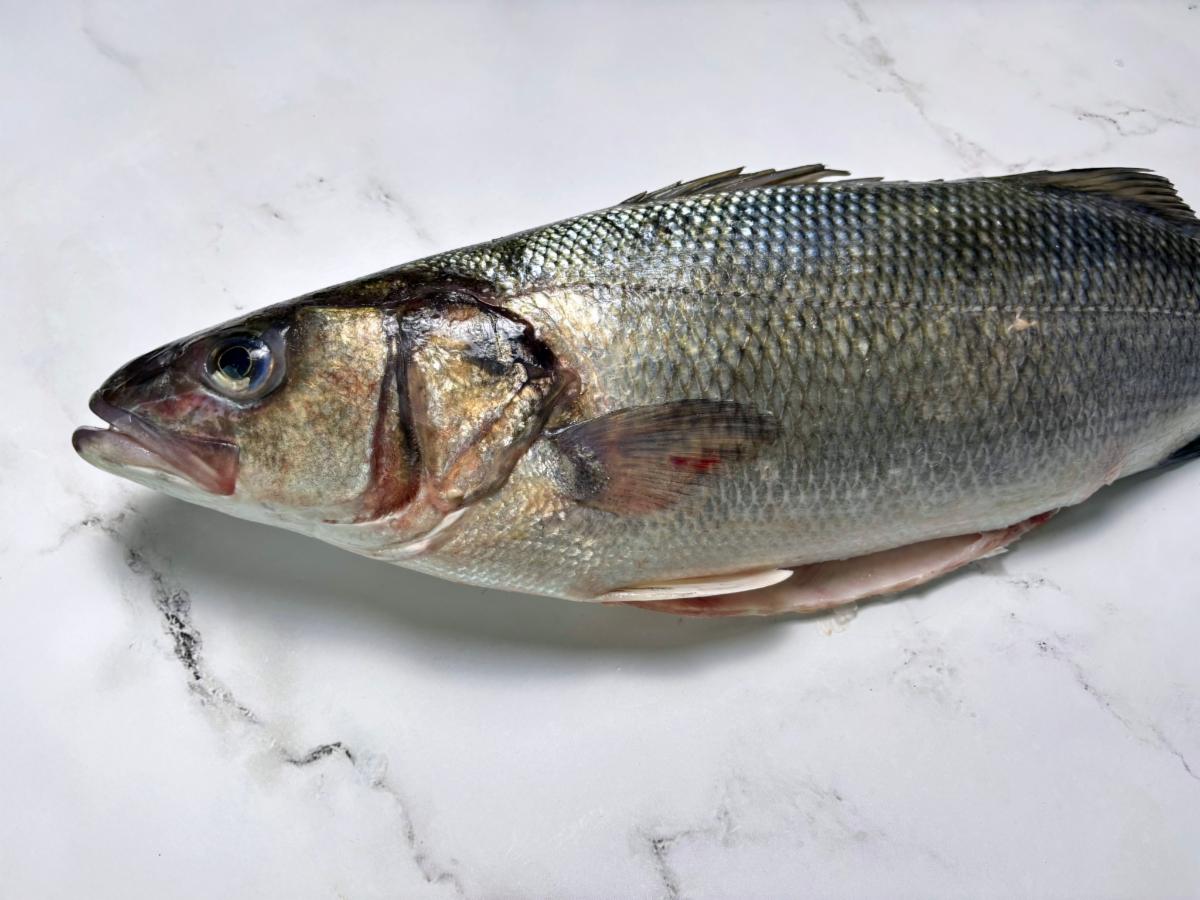 Fresh Finds for Tuesday - See What's New!