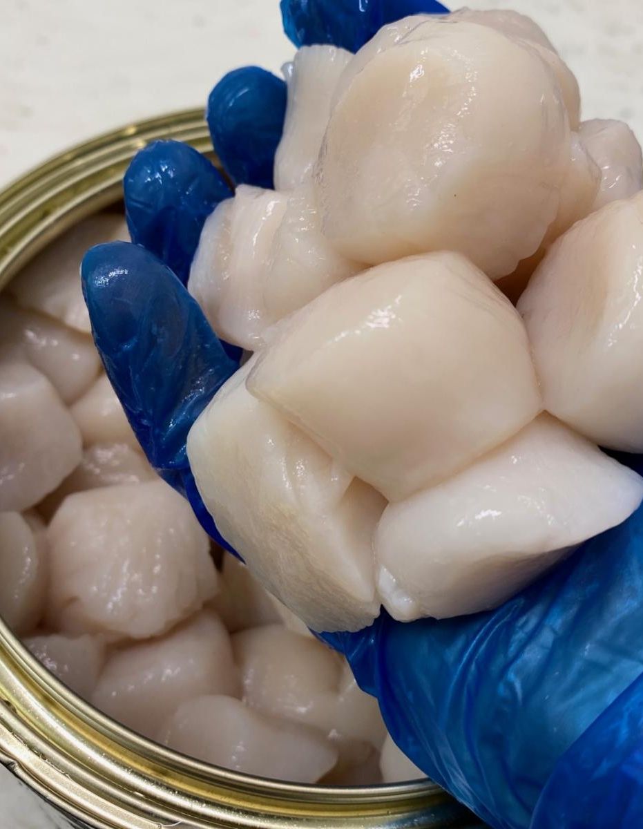 Tuesday Seafood Specials