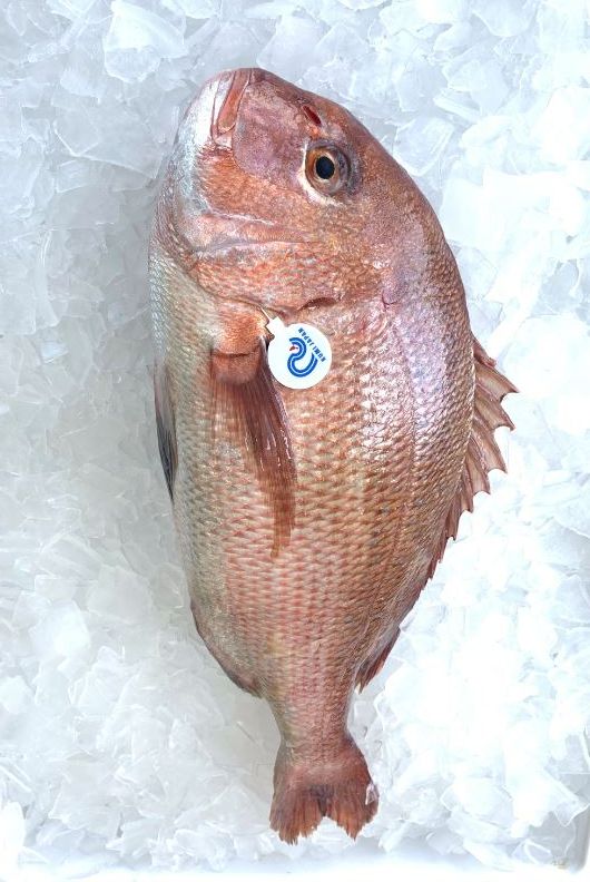 Tuesday, October 27th, Daily Specials