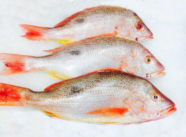 Super Saturday Specials!