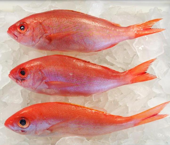 Your Mid-Week Specials Have Arrived