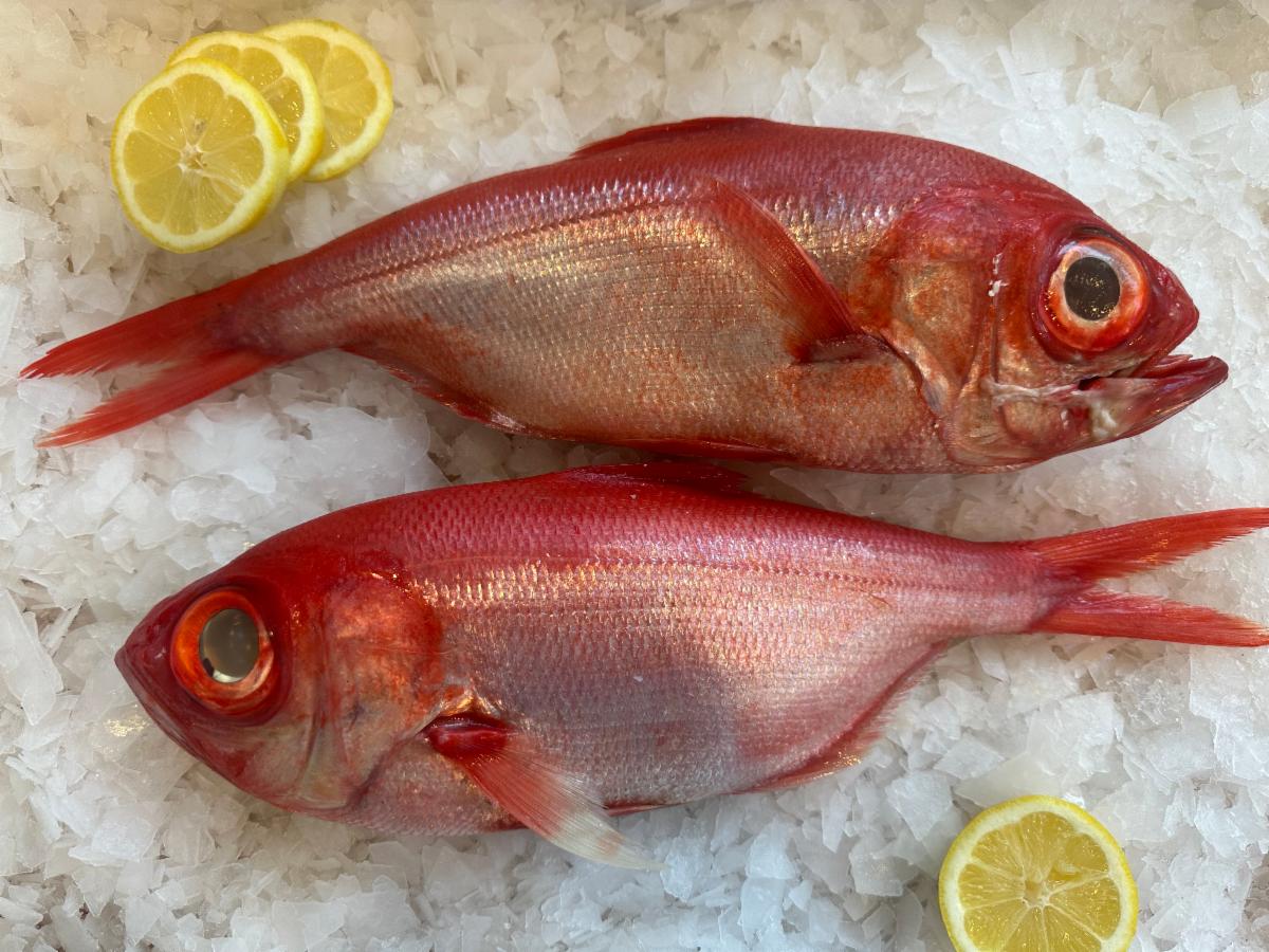 Fresh Finds for Wednesday - See What's New