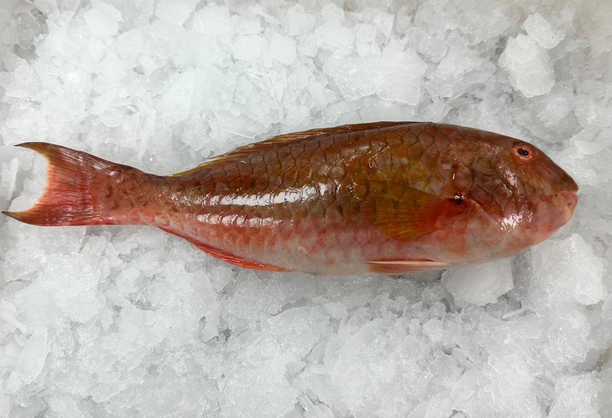 Merry Monday Specials!