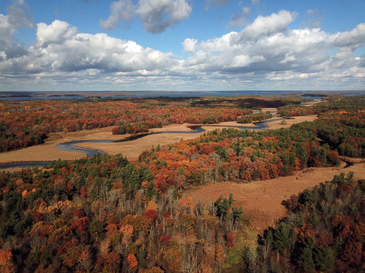 Introducing NEWT's ecology program & new forever-wild easements in New York