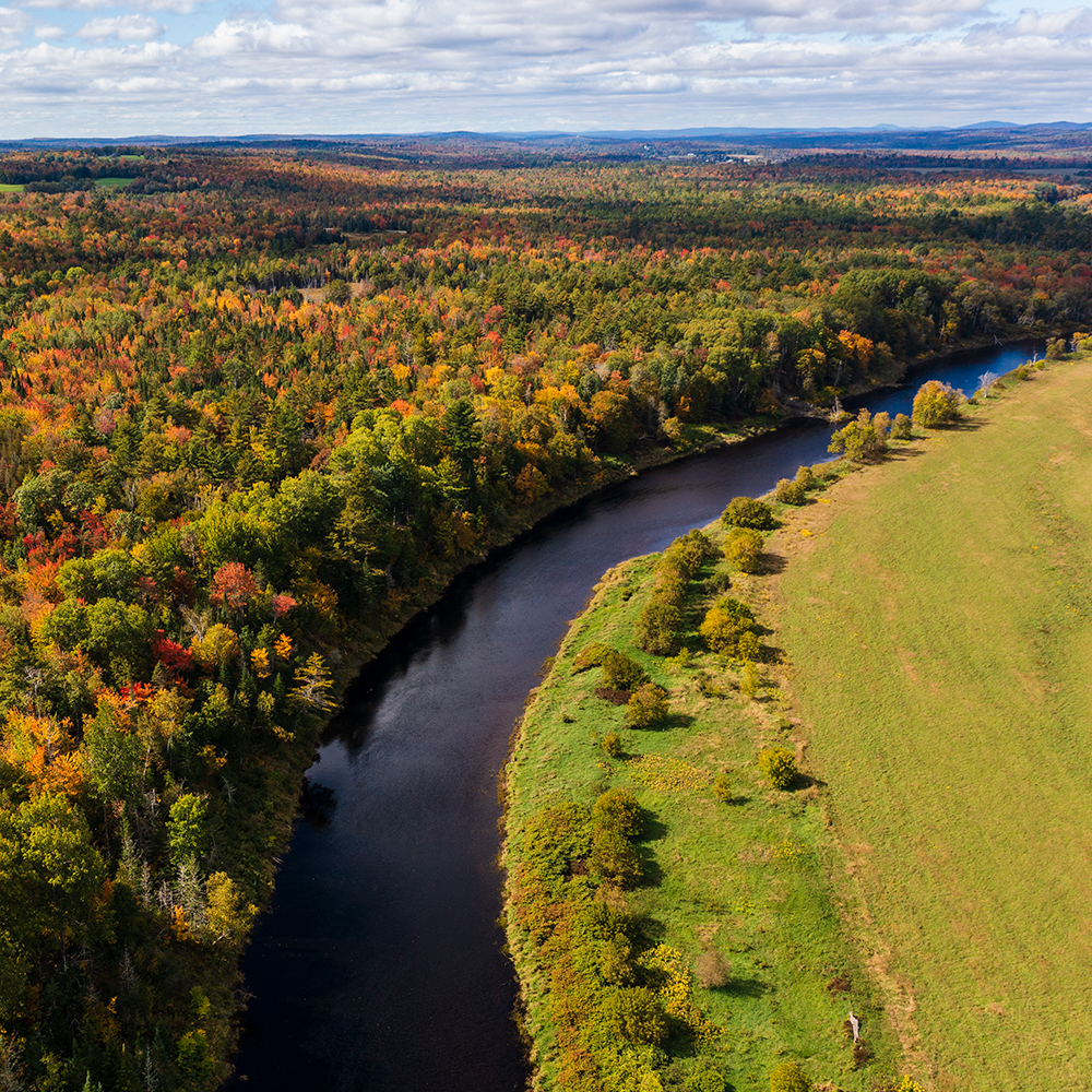 Introducing NEWT's ecology program & new forever-wild easements in New York