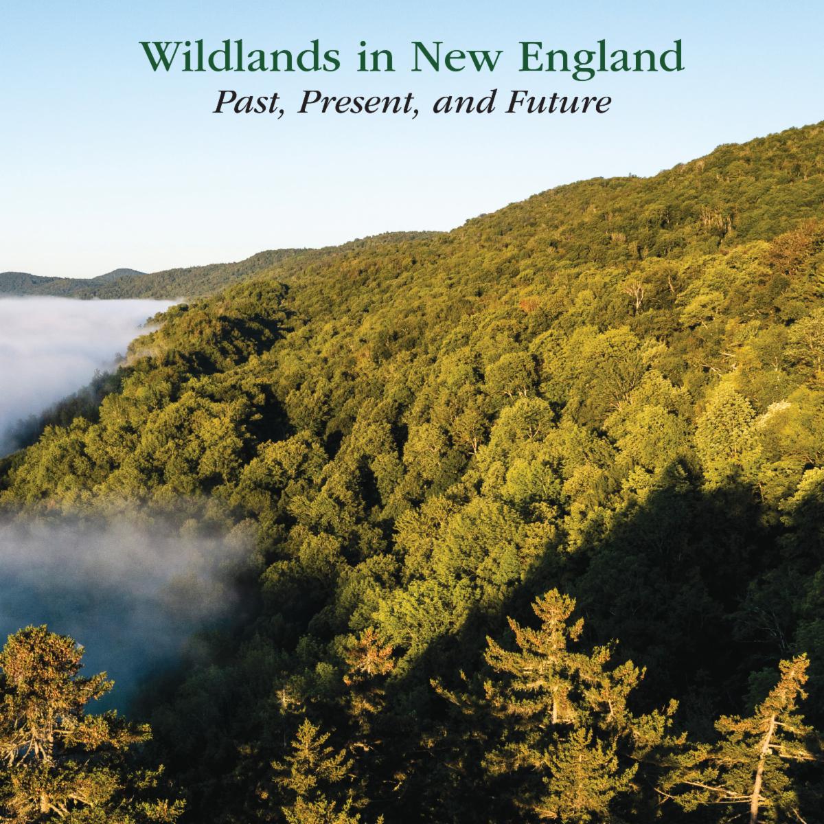 Introducing NEWT's ecology program & new forever-wild easements in New York