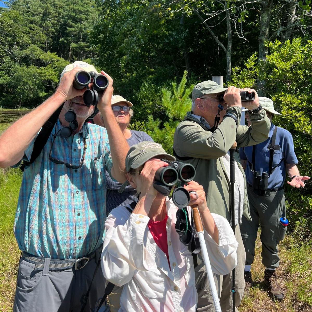 Introducing NEWT's ecology program & new forever-wild easements in New York