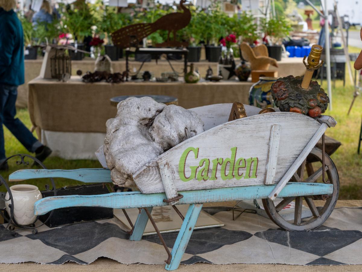 This Month at Project SAGE