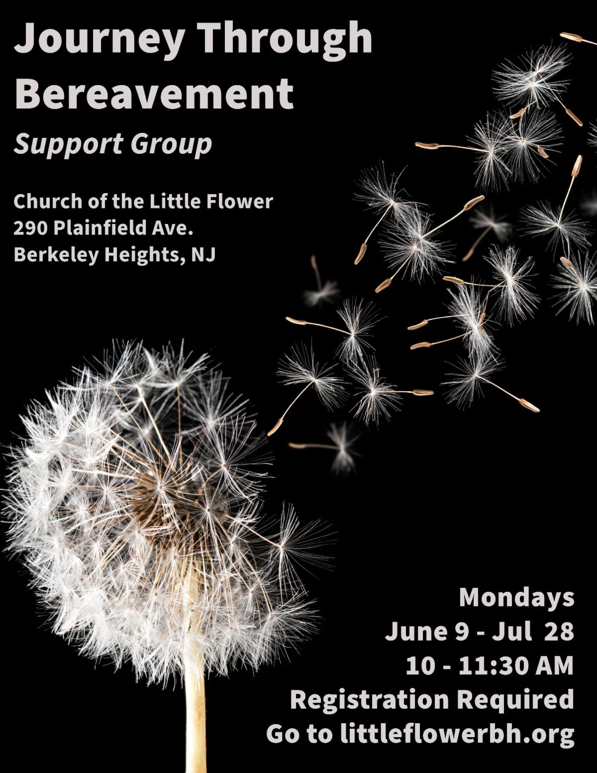 Let your light shine before others that they may see your good deeds ...