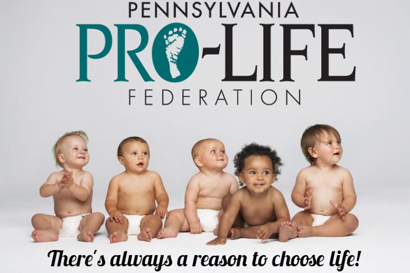 Friend of Life, watch how the pro-life movement helps women and babies!