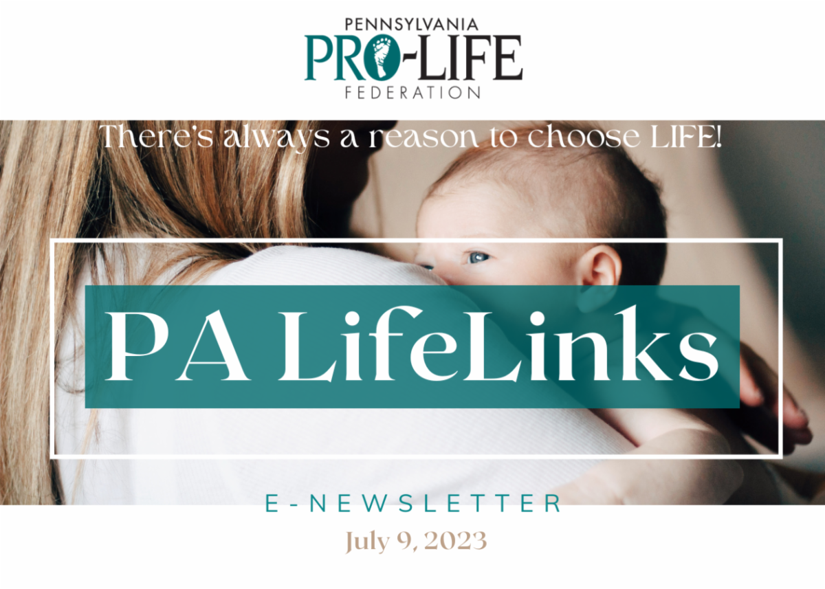 Friend of Life, Why Pro-Choice is Pro-Violence