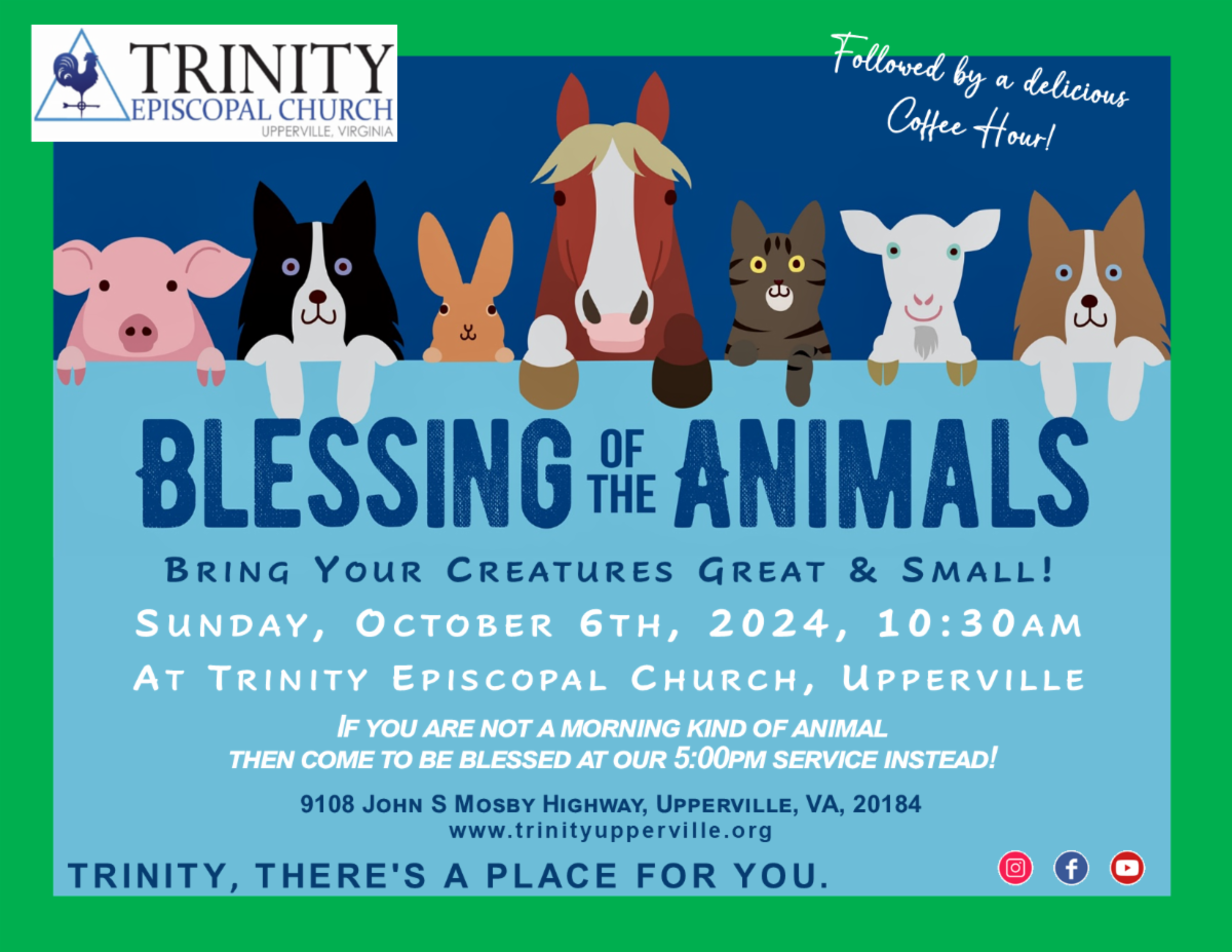 Trinity Essentials, from Trinity Episcopal Church