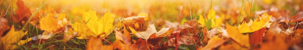 Mary Poppins, Dia de los Muertos, Fall into Health, winter skating