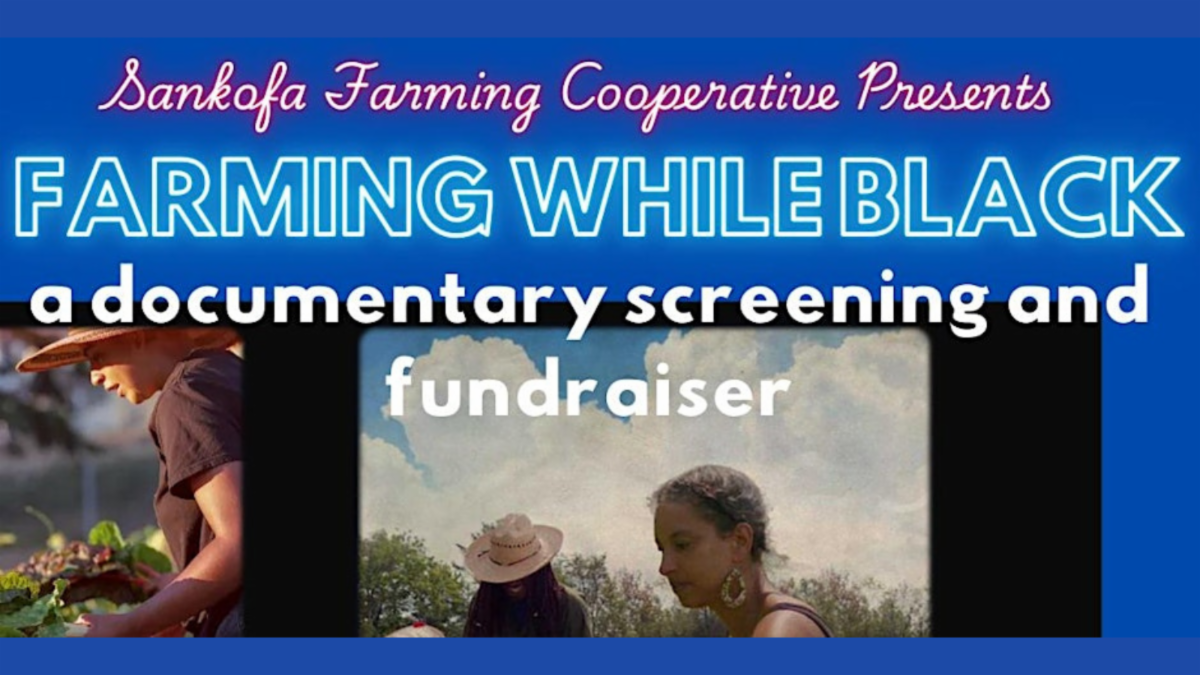 NABC Network News - Black Women’s Institute for Health's Voices Unheard Survey + Diversity of ...