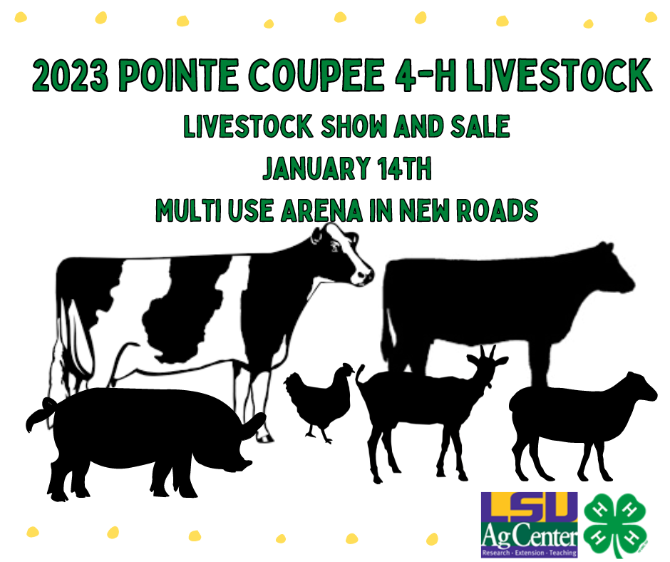 January 2023 in Pointe Coupee Parish