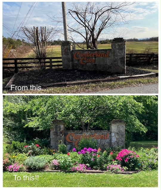 Cumberland Cove POA Newsletter