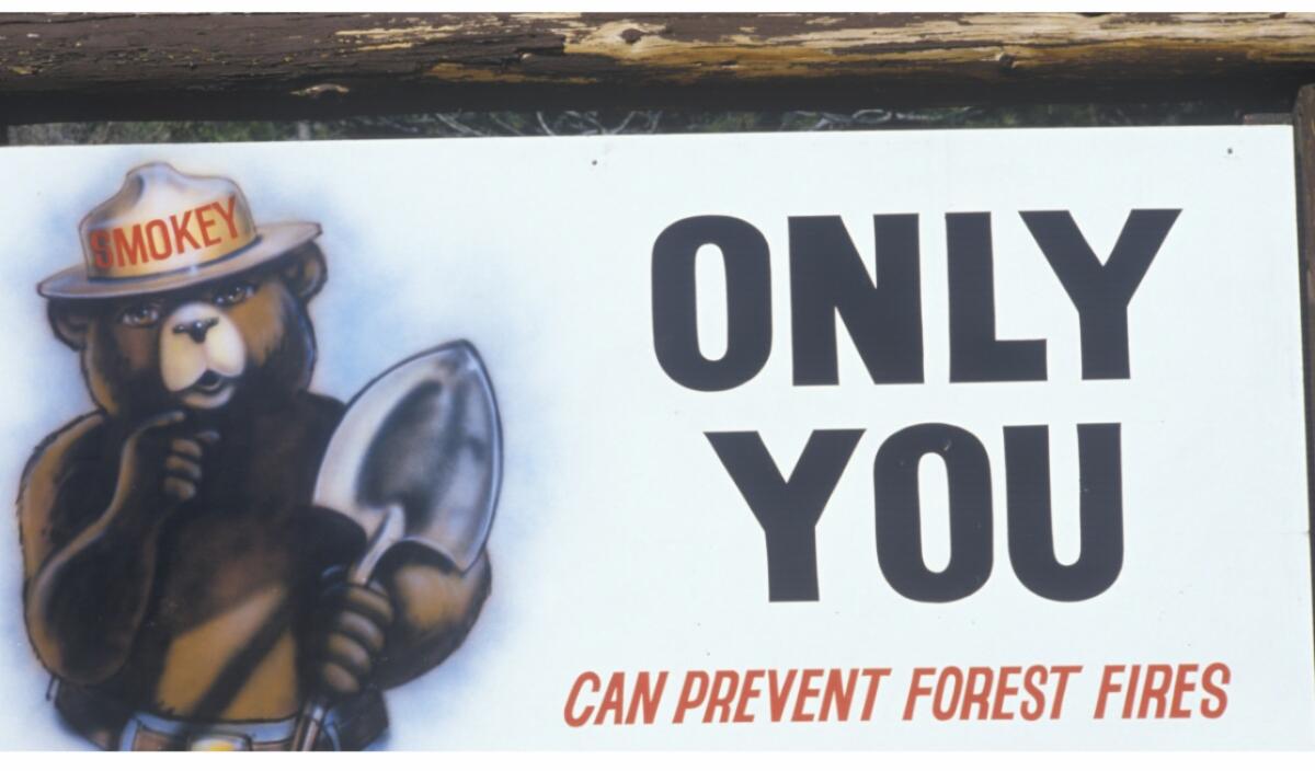 Cumberland Cove Newsletter