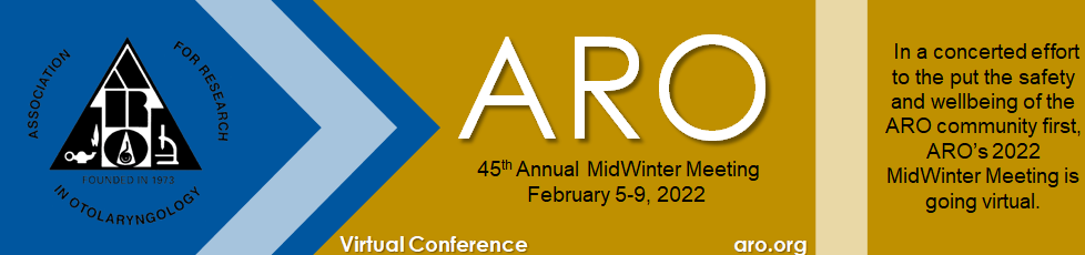 ARO Goes Virtual for the 2022 MidWinter Meeting!