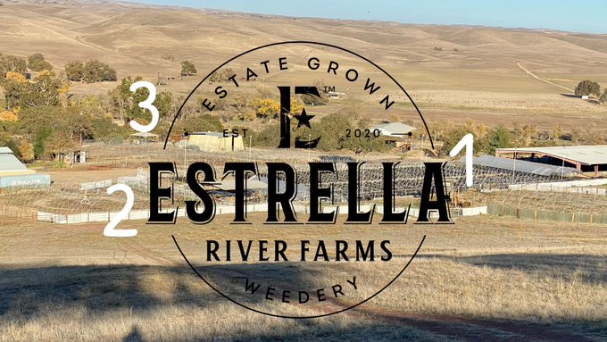 LiveWire Ergogenics Appoints Brand Manager for Estrella River Farms and ...