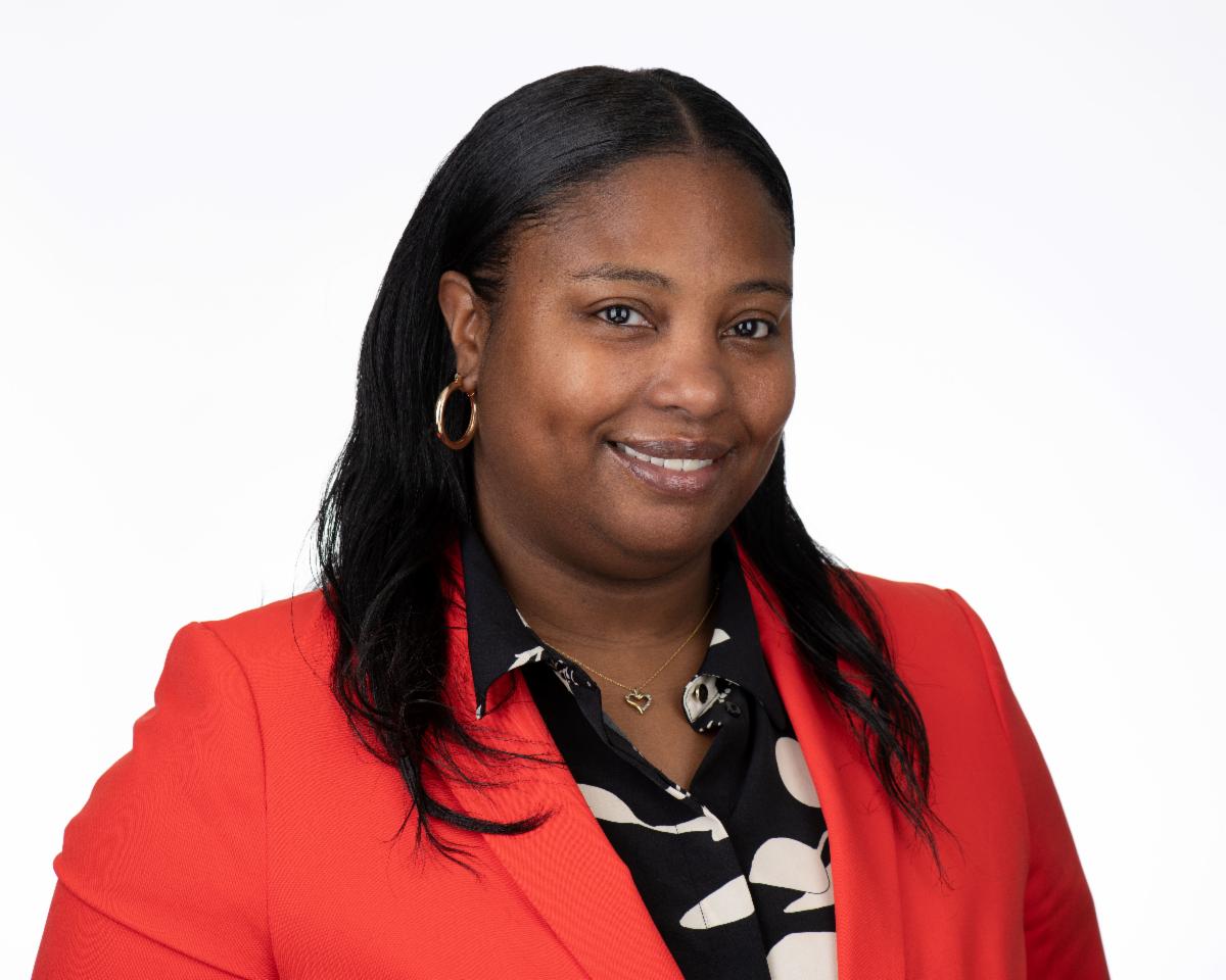 Check out January's project updates for the Ctrl+Alt+Deliver Project