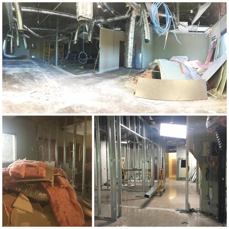 The Latest News From Atema Partners & AP Live