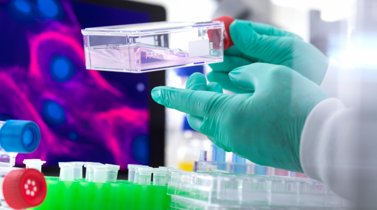 MD Stem Cell Research Fund Newsletter (Jan. 2024)