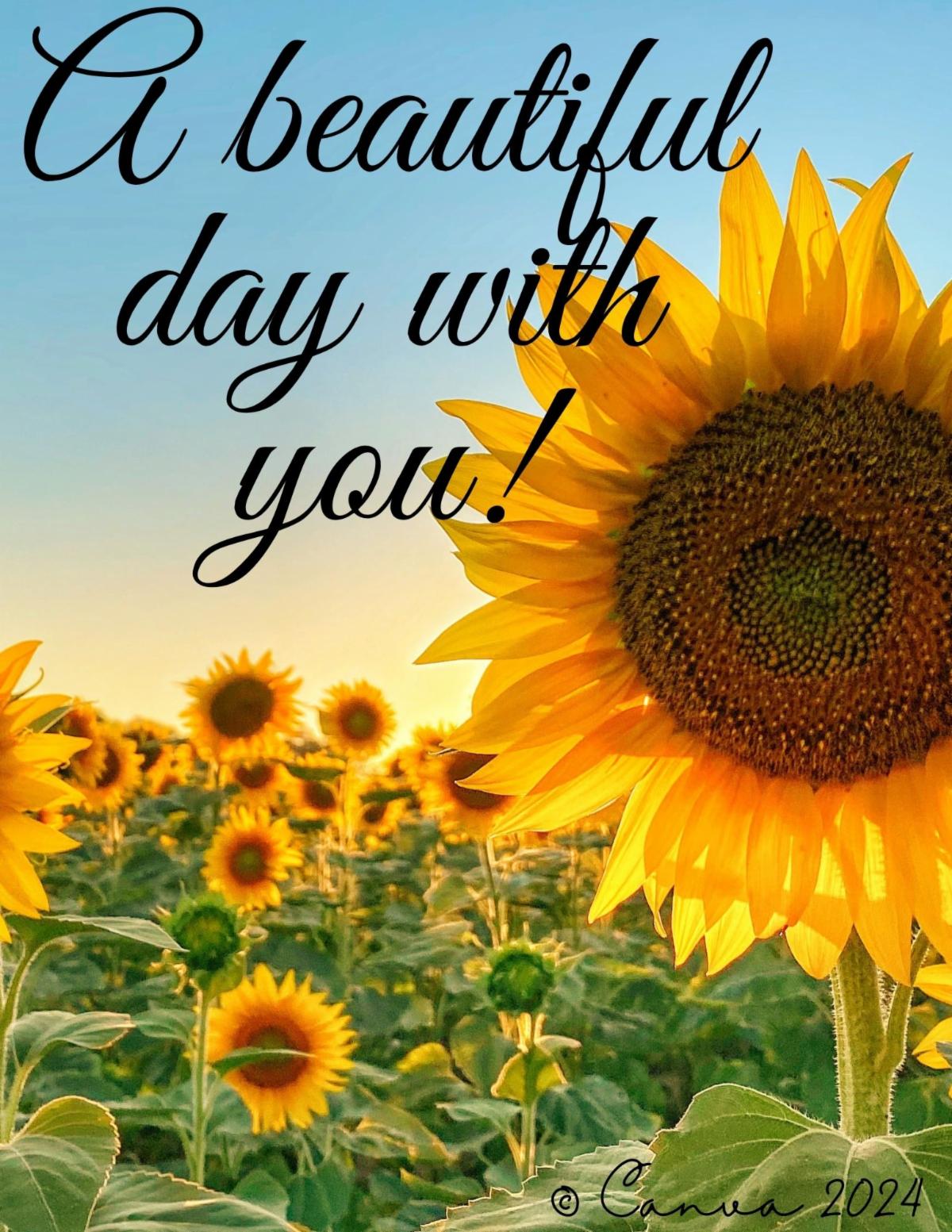 Another bright sunshiny day in Paradise! See you shortly for a ...