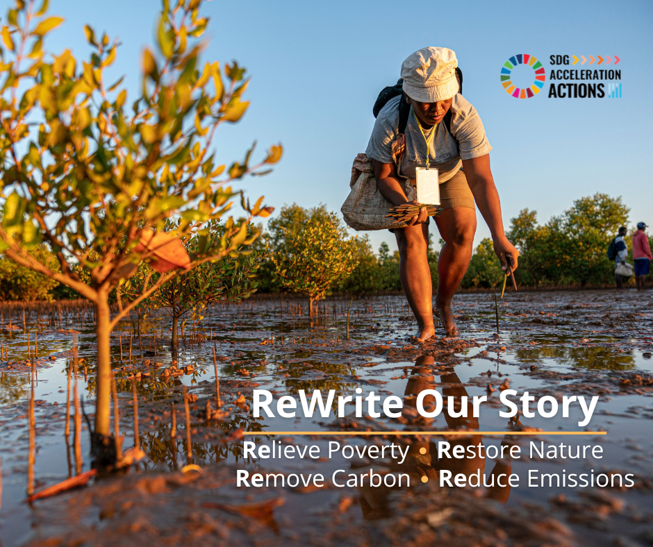 3 Key Insights: People, Planet, & Progress