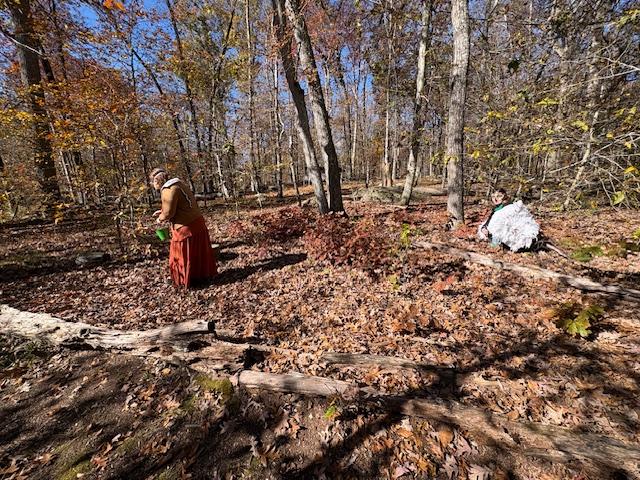 🍂 Thank You - Woodland Halloween! 🍂