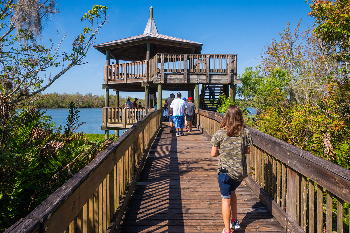 The latest news in Therapeutic Recreation