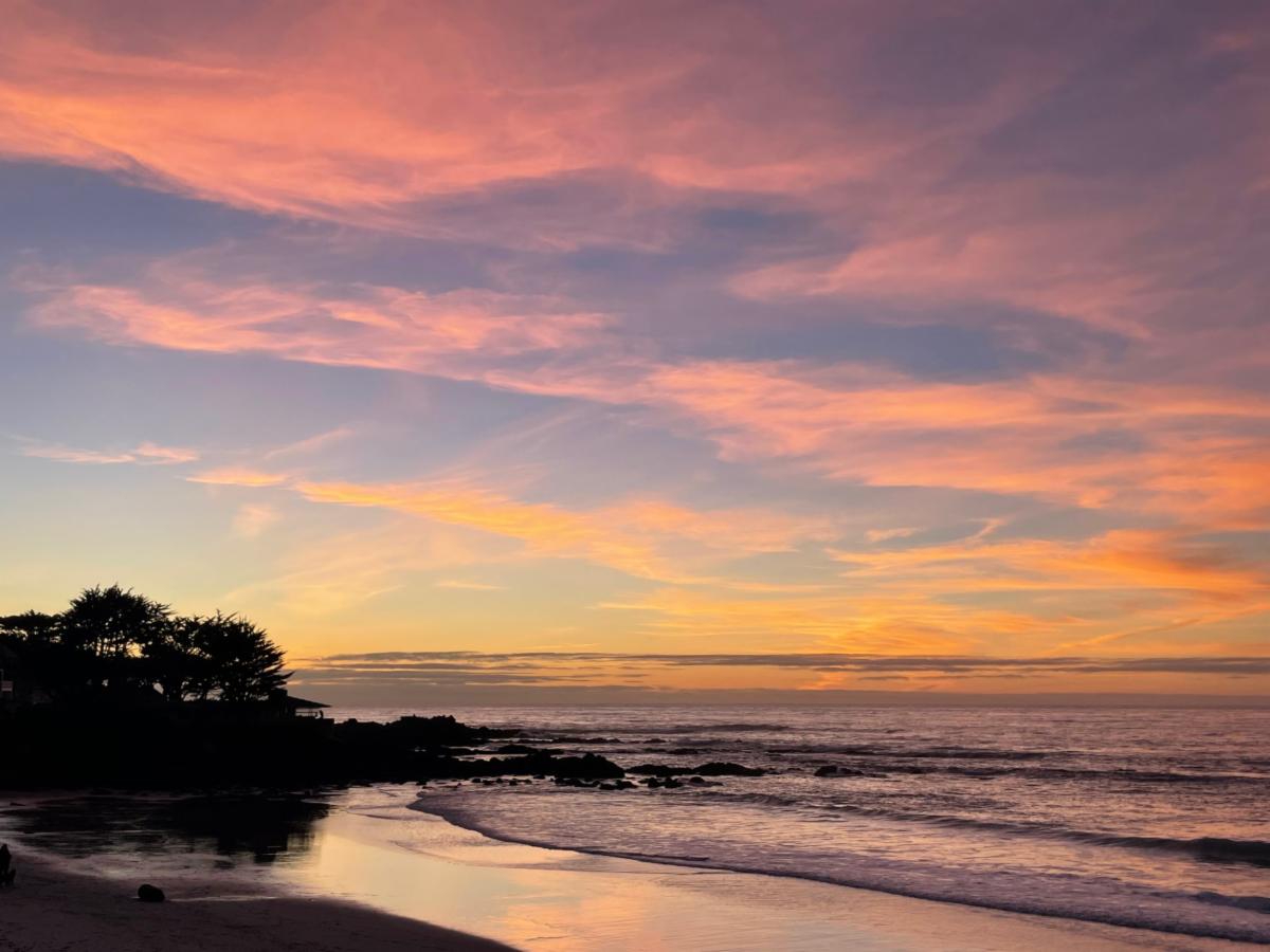 CBTSGC February 2024 Newsletter