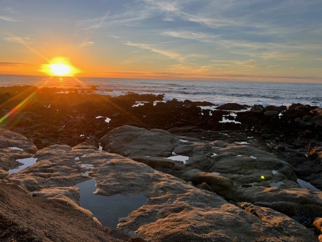 CBTSGC February 2024 Newsletter